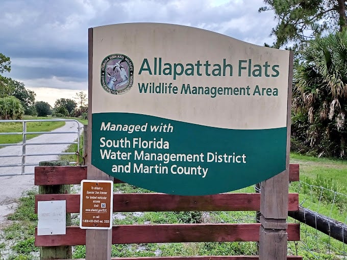 Allapattah Flats: where wildlife roams free and visitors can stretch their legs in Florida's wild backyard.