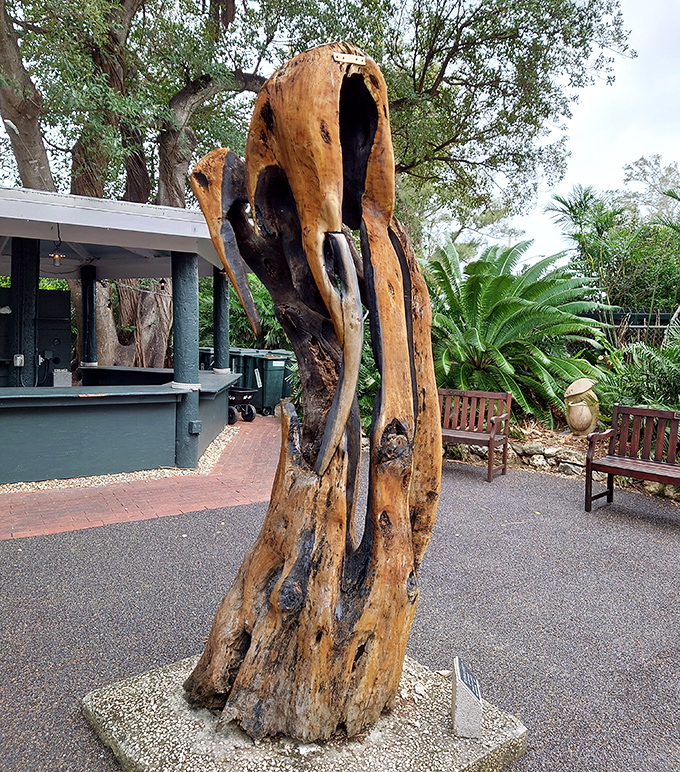 Nature's sculpture gallery: this weathered wooden form stands as testament to the artistic collaboration of time and elements.