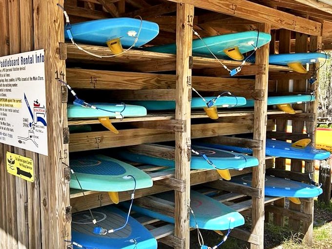 Paddleboard paradise awaits with rentals lined up and ready for your water adventure at Ginnie Springs.