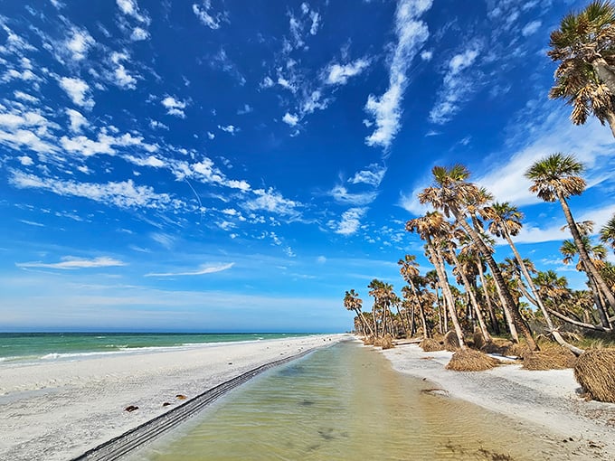 Palm-fringed paradise: Mother Nature's own version of a luxury resort, minus the hefty bill.