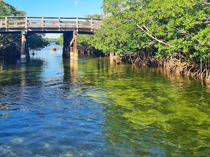 Crystal-clear waters flow beneath a bridge in John Pennekamp Coral Reef State Park, gateway to America's first underwater preserve.