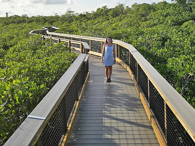 John Pennekamp's elevated boardwalk offers visitors a journey through coastal mangrove forests teeming with wildlife.