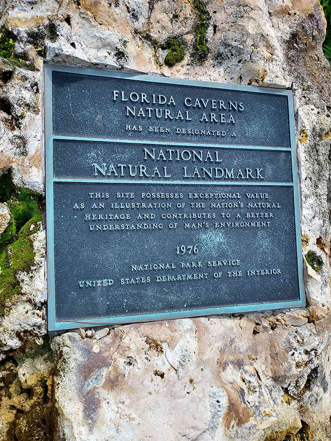 This plaque commemorates Florida Caverns' designation as a National Natural Landmark in 1976, recognizing its geological significance.