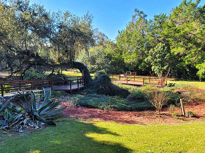 Sunlight dapples through ancient oaks, creating natural spotlight effects on gardens designed to complement the prehistoric spring.