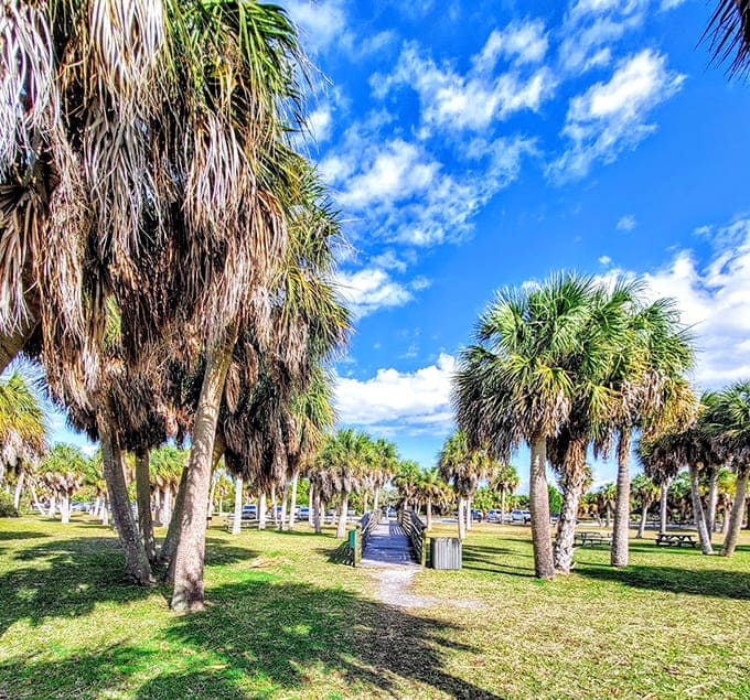 A palm-lined path leads to the iconic lighthouse, combining tropical beauty with fascinating Florida history beautifully.