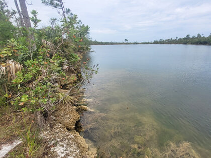 These 12 Beautiful Lakes In Florida Have An Enchanting Aura Around Them ...