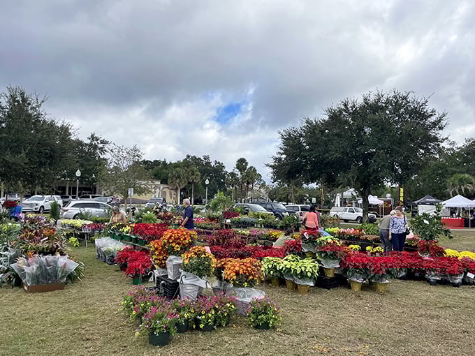 Winter Park Farmers Market showcases a stunning array of colorful flowers and plants, bringing natural beauty to this historic venue.