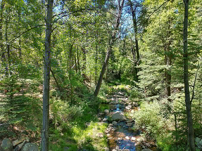 Tall pines create a green canopy in this charming mountain town. Pine's cooler climate and small-town atmosphere make it perfect for a relaxing getaway.