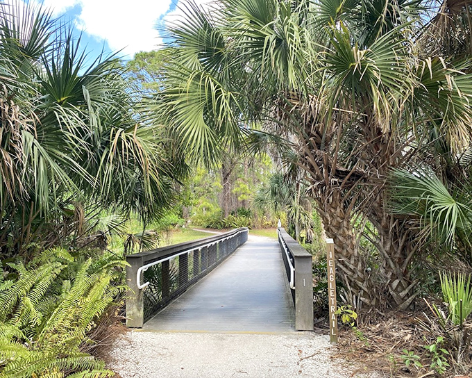 The boardwalk section cuts through mangrove tunnels like a secret passage in Mother Nature's mansion &ndash; minus the hidden bookcase.