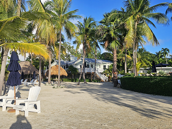 Coconut Palm Inn offers that quintessential Keys experience &ndash; white sand, swaying palms, and accommodations that blur the line between indoors and out.