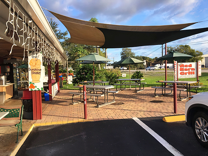 The outdoor dining area where shade sails and umbrellas battle Florida's sunshine so you can enjoy your meal without becoming one.
