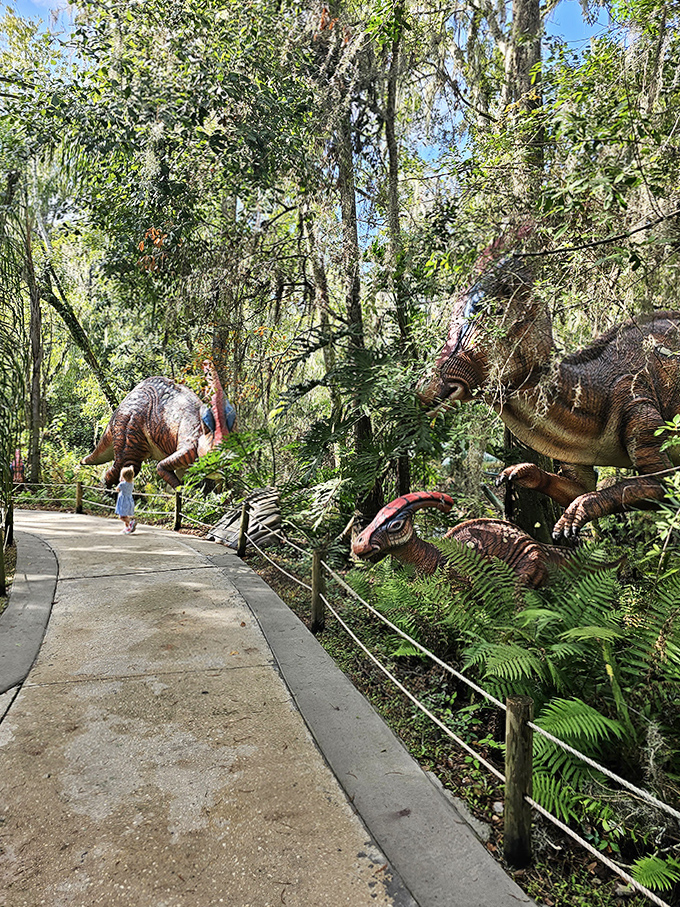 Wandering these paths feels like stepping into a Jurassic time portal, where prehistoric predators lurk behind every palm frond.