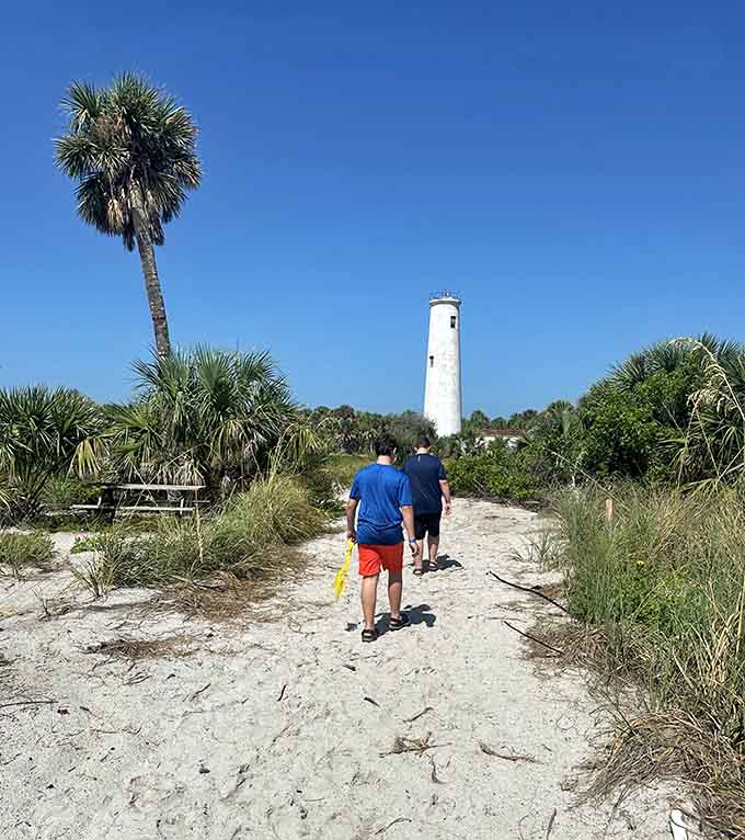 Sandy paths lead through native vegetation toward the lighthouse, inviting exploration like a choose-your-own-adventure book where every choice leads somewhere interesting.