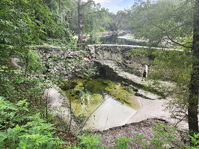 Nature's own swimming pool, this sulfur spring has welcomed bathers for generations, its mineral-rich waters bubbling up from Florida's limestone heart.