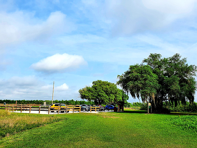 The humble parking area belies the natural wonders waiting just beyond, where visitors trade car seats for fallen logs and traffic noise for birdsong.