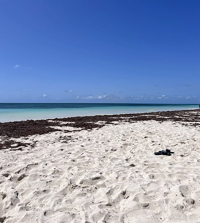 Where the Atlantic meets the shore in a gentle embrace, creating the perfect swimming conditions for water lovers of all ages.