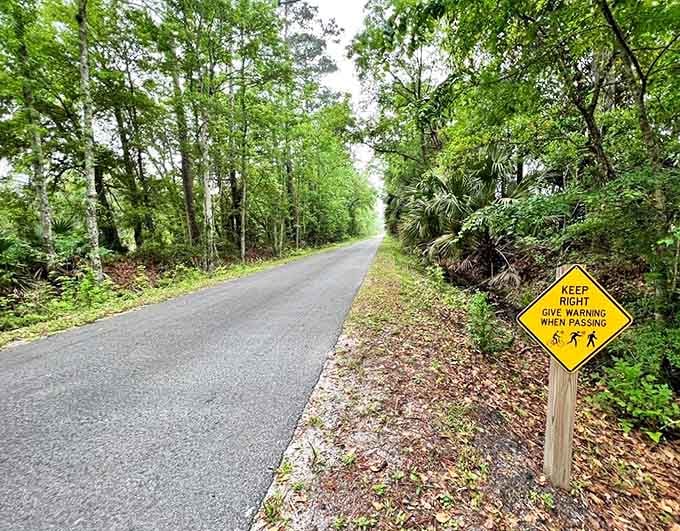 Trail signs point the way for adventurers, because even in nature, sometimes you need a little help figuring out where you're going and where you've been.