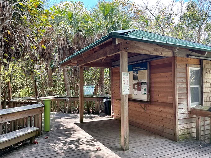 The rustic visitor center blends harmoniously with its surroundings, unlike those neon-lit tourist traps selling "authentic" Florida souvenirs made in China.