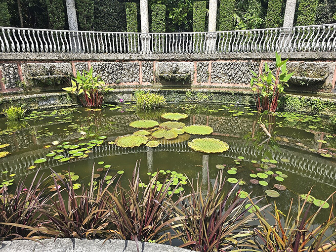 Water lilies float lazily in this reflecting pool, living their best plant lives while making ordinary houseplants seem positively pedestrian.