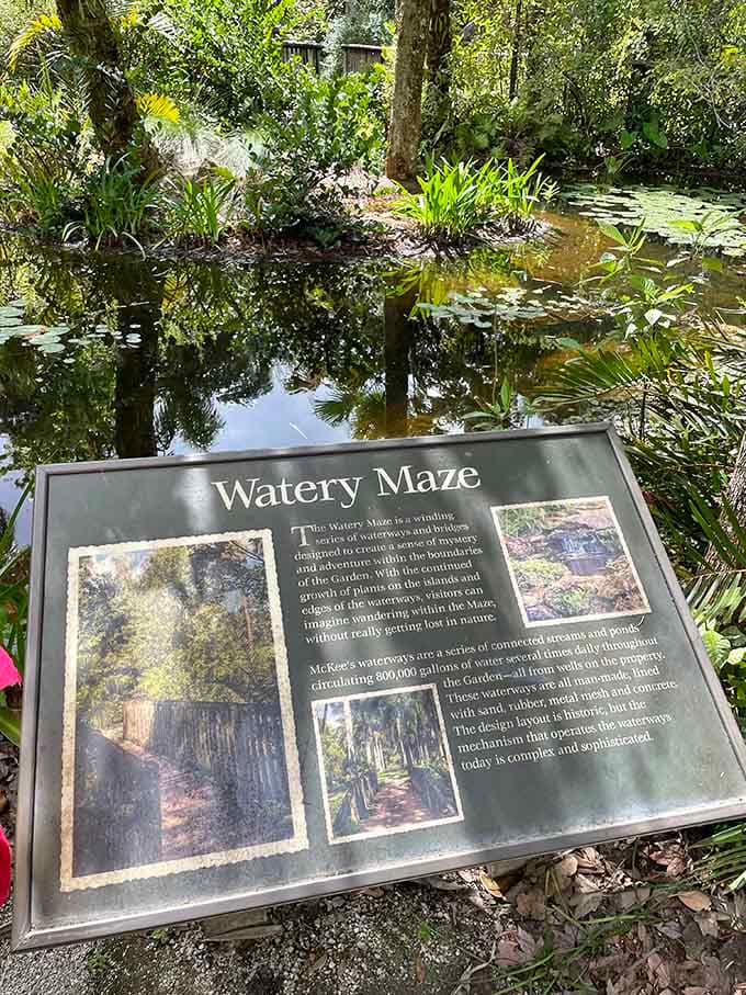 The Watery Maze isn't just a clever name, it's an actual aquatic puzzle that makes you rethink what gardens can be.