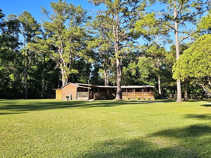 The surrounding landscape offers tranquil green spaces where visitors can decompress between dives or simply soak in Florida's natural beauty.