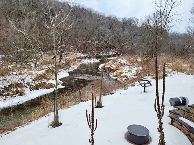 Winter transforms the trail into a serene wonderland where snow muffles sound and creates a peaceful solitude that summer can't match.