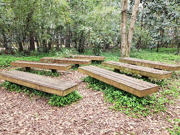 These wooden benches aren't just for sitting &ndash; they're front-row seats to nature's greatest ongoing performance art piece.