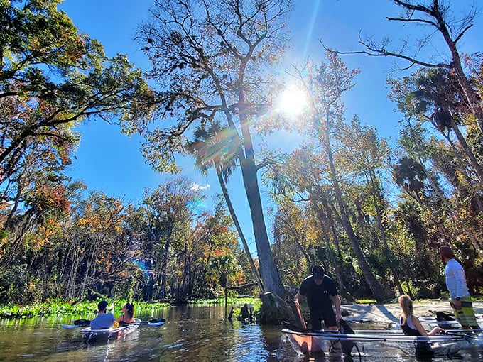 Dappled light show: Autumn sunshine filters through the canopy, creating nature's own stained-glass effect on the emerald waters below.