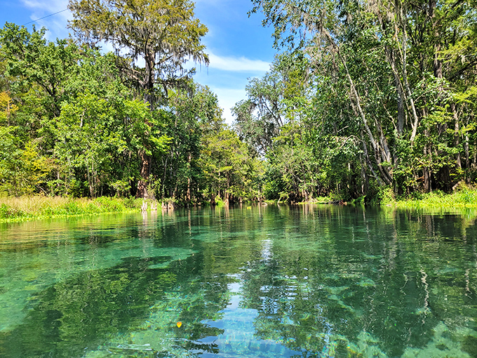 Liquid glass: Water so transparent it's like someone forgot to add the blue dye to this section of the river.