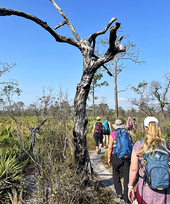 Follow the leader through Florida's wild side &ndash; where the path narrows and conversations deepen with every step.