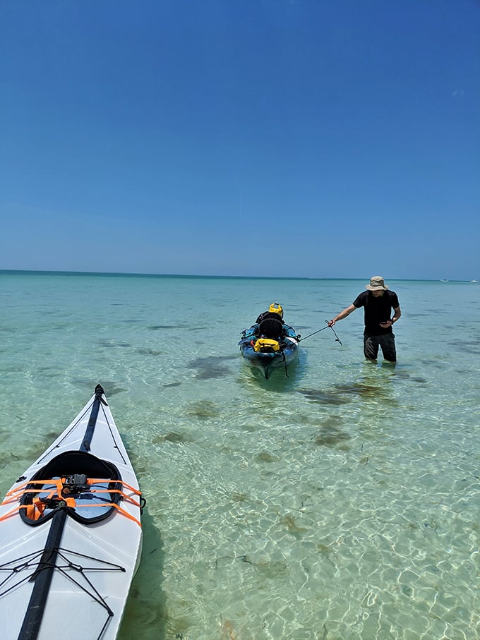 Crystal clarity: Water so clear you can count sand ripples like they're telling you secrets.