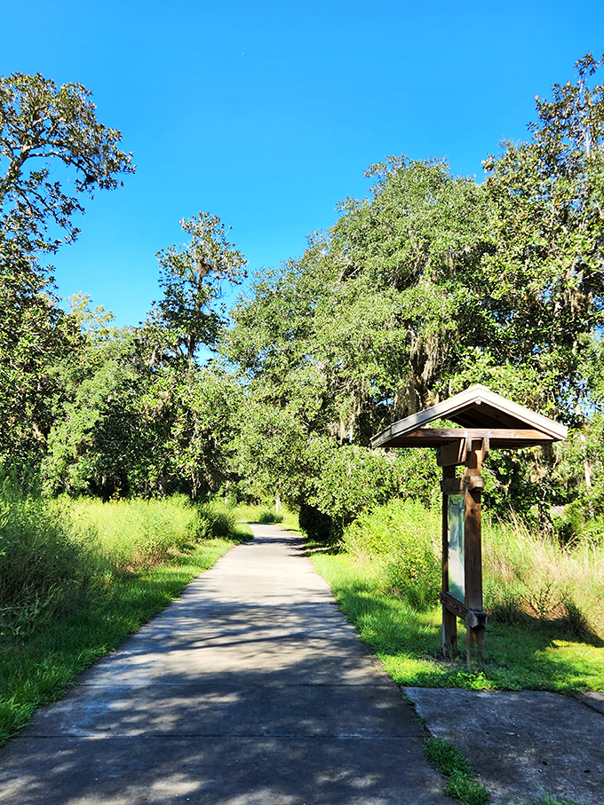 Winding pathways guide explorers through lush Florida landscapes. The perfect trail for both dedicated hikers and casual wanderers alike.