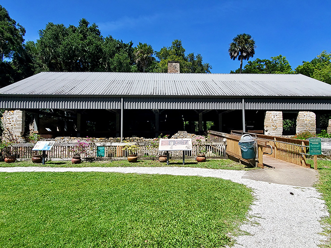 The sugar mill's structural remains create a hauntingly beautiful backdrop, where industrial history meets botanical splendor in perfect harmony.