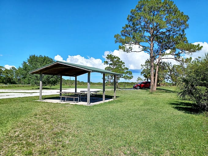 A simple picnic shelter invites travelers to pause their journey and savor the surrounding natural symphony.
