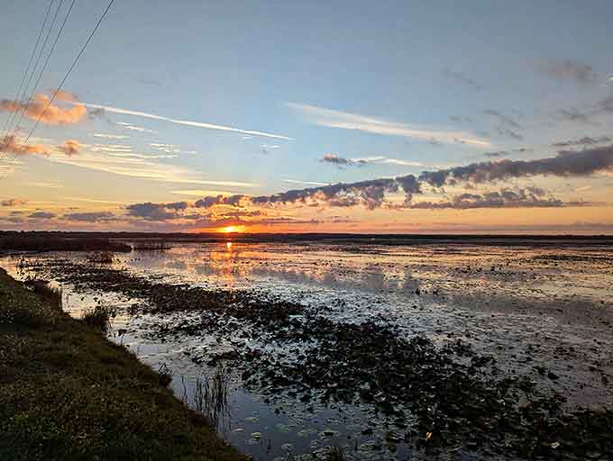 When the sun calls it a day, the wetlands throw a color party that makes neon signs look understated.