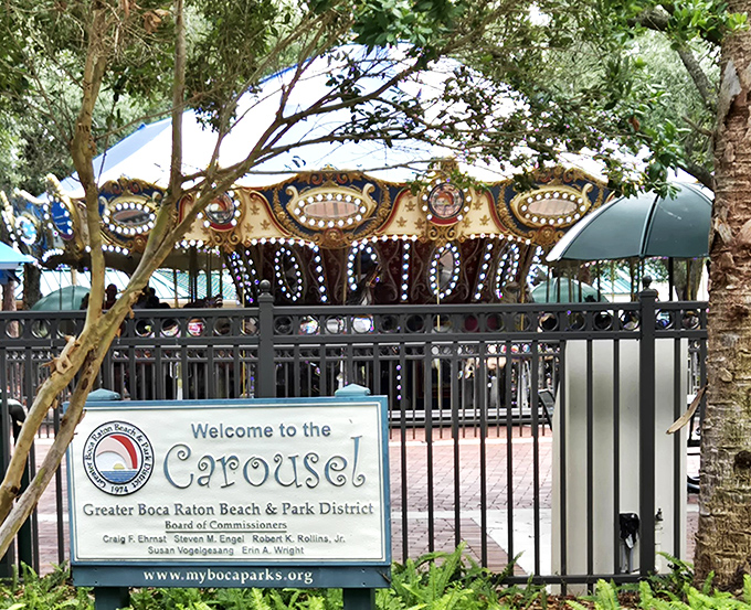 Welcome to the carousel &ndash; where painted ponies gallop in endless circles and childhood nostalgia comes rushing back with every musical note.
