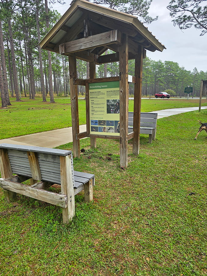 The rustic information kiosk, where nature posts its social media updates without needing Wi-Fi.