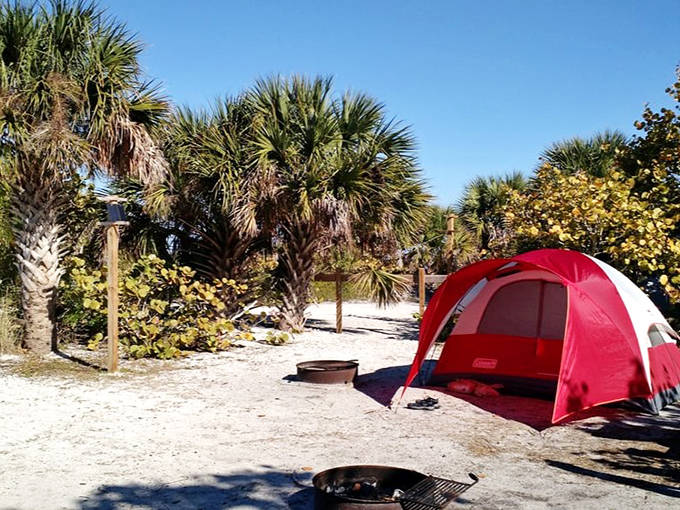 A red camping tent set up among palm trees at Cayo Costa State Park, with a fire ring ready for evening beach bonfires.