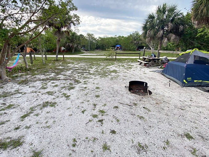 An open camping area at Cayo Costa with scattered tents, showing the park's spacious sites surrounded by native Florida vegetation.