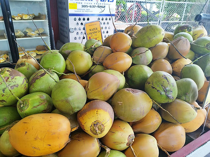 Tropical hydration station! These fresh coconuts offer nature's perfect sports drink, no plastic bottles required.