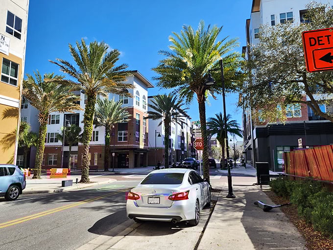 Modern apartments and palm trees create an inviting urban landscape in Winter Park, where affordable pleasures await around every corner.