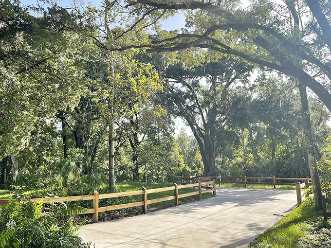 A peaceful canoe glides through Weeki Wachee's pristine waterway, surrounded by lush greenery that hasn't changed in centuries.