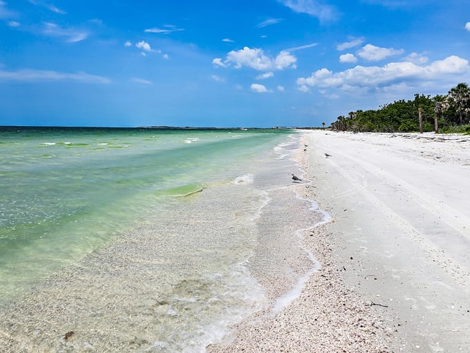 a natural florida gem