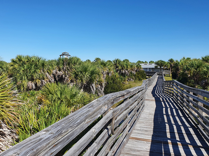 a quiet corner in the sunshine state