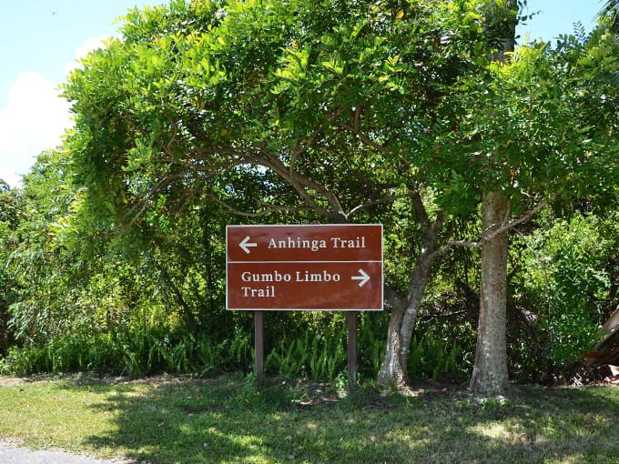 anhinga boardwalk trail 3