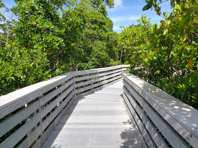 anne kolb nature center hollywood