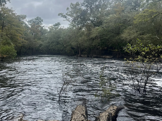 aucilla sinks loop 2