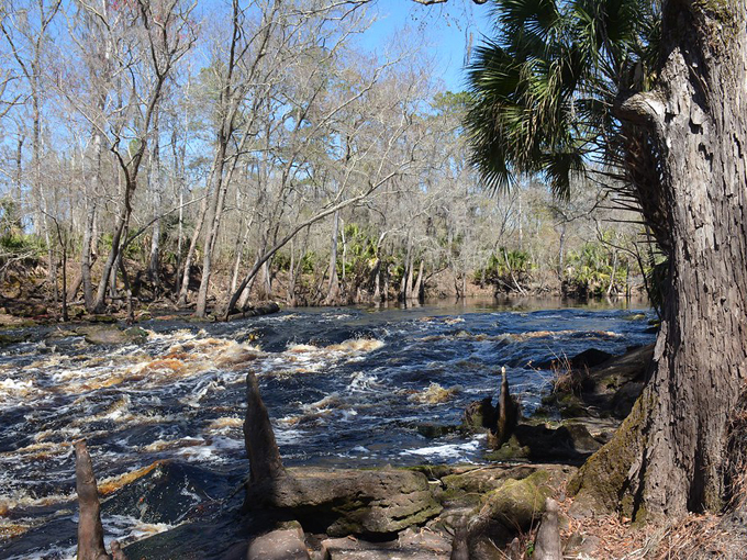 aucilla sinks loop 6