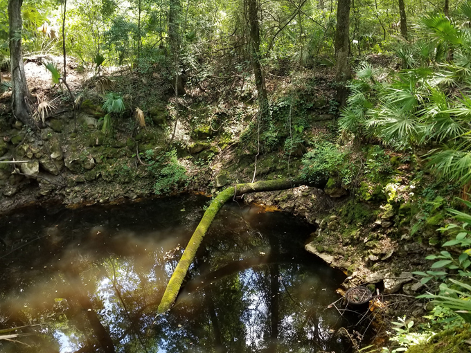 aucilla sinks loop 9