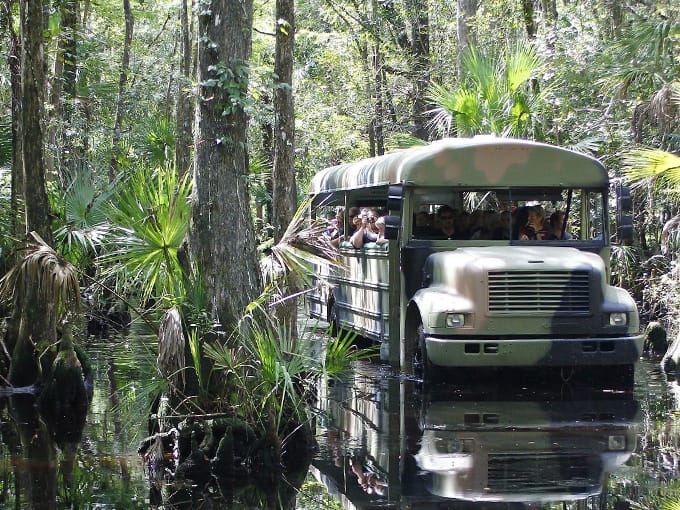 babcock ranch eco tours 1